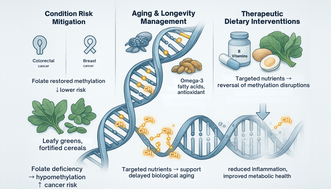 How DNA Methylation and Diet Shape Your Health